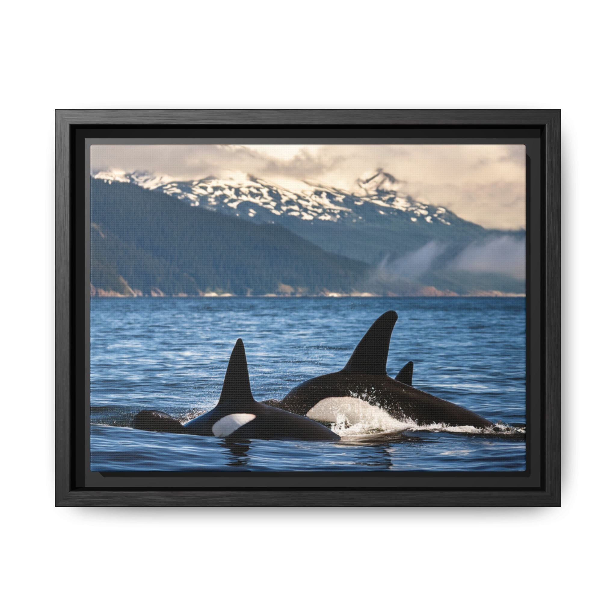 Orca Matte Canvas Print - Framed Ocean Art for Nature Lovers – Boat-Stuff