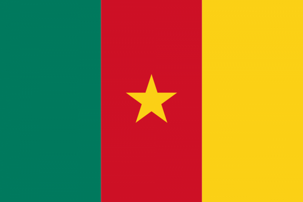 Cameroon Courtesy Flag - JW Plant – Boat-Stuff